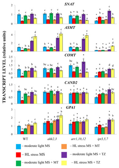 Cytokinin Modulates Responses to Phytomelatonin in Arabidopsis thaliana ...