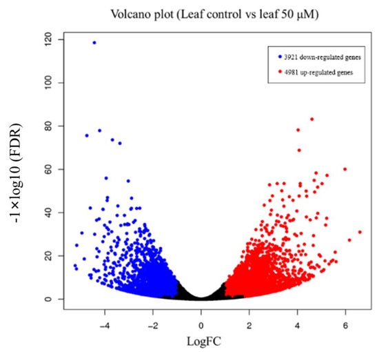 IJMS | Free Full-Text | Identification and Functional Validation of ...