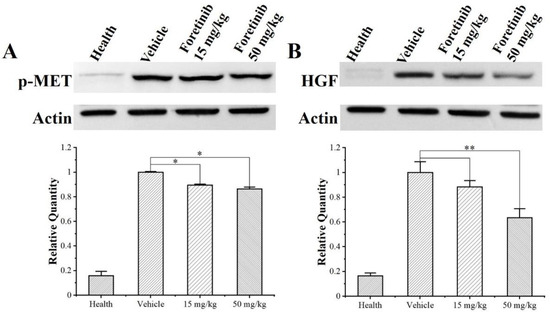 Foretinib Is Effective against Triple-Negative Breast Cancer Cells MDA ...