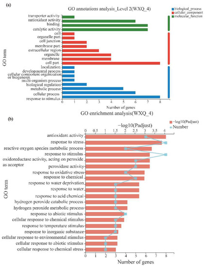 Transcription Factor ERF194 Modulates the Stress-Related Physiology to ...