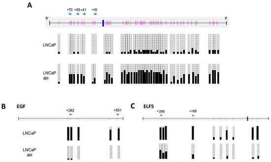 Claudin-3 Loss of Expression Is a Prognostic Marker in Castration ...