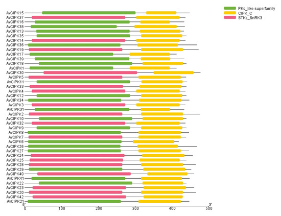 Transcriptome-Wide Identification and Functional Characterization of ...