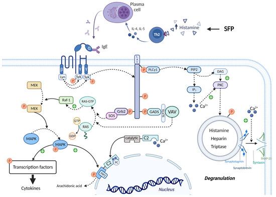 Molecular Mechanisms of Scombroid Food Poisoning