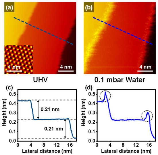 Effect of Water Vapor on Oxidation Processes of the Cu(111) Surface and ...