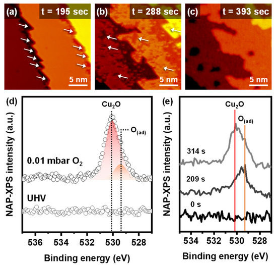Effect of Water Vapor on Oxidation Processes of the Cu(111) Surface and ...