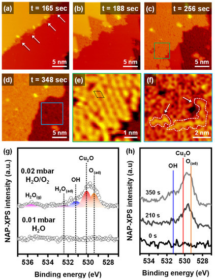 Effect of Water Vapor on Oxidation Processes of the Cu(111) Surface and ...