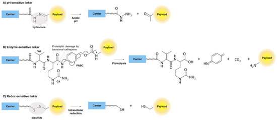 Peptide Drug Conjugates and Their Role in Cancer Therapy
