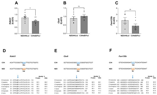 E96V Mutation in the Kdelr3 Gene Is Associated with Type 2 Diabetes ...