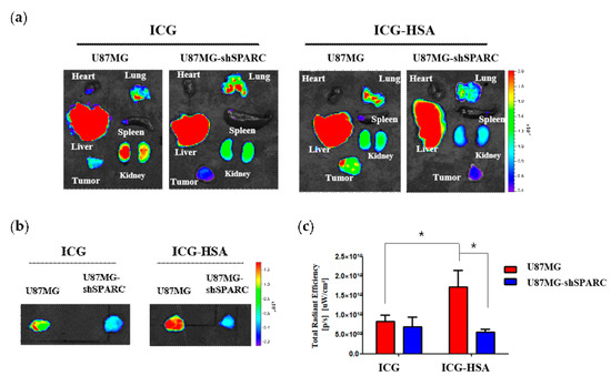 Imaging of Indocyanine Green-Human Serum Albumin (ICG-HSA) Complex in ...