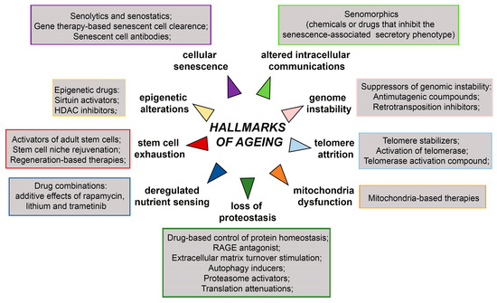 The Role of SOX Transcription Factors in Ageing and Age-Related Diseases