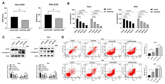 Silencing DTX3L Inhibits the Progression of Cervical Carcinoma by ...