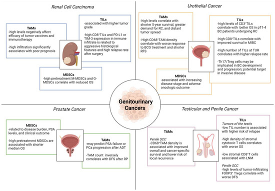 Inflammation in Urological Malignancies: The Silent Killer
