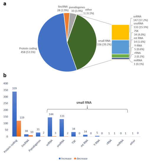 Protein-Coding Region Derived Small RNA in Exosomes from Influenza A ...