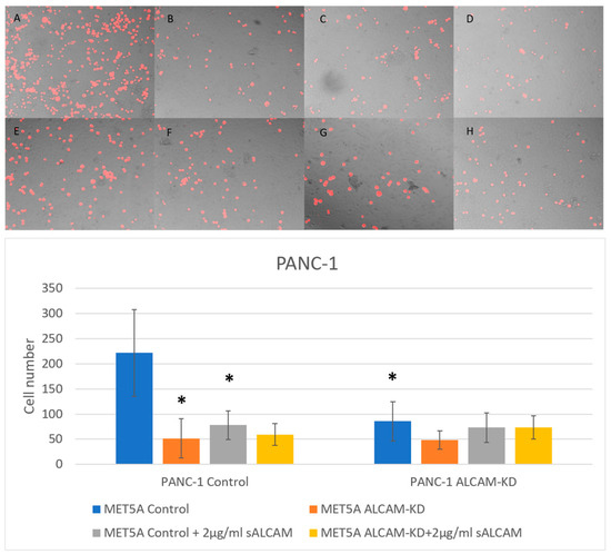 Activated Leukocyte Cell Adhesion Molecule (ALCAM), a Potential ‘Seed ...