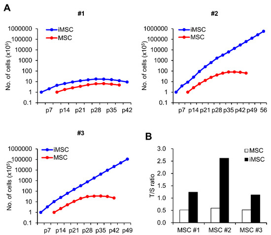 iPSC-Derived MSCs Are a Distinct Entity of MSCs with Higher Therapeutic ...