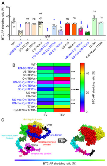A Bioengineering Strategy to Control ADAM10 Activity in Living Cells