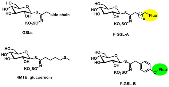 Artificial Fluorescent Glucosinolates (F-GSLs) Are Transported by the ...