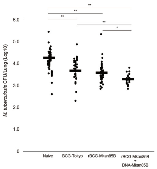 The Induction of Antigen 85B-Specific CD8+ T Cells by Recombinant BCG ...