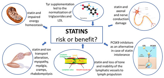 Pharmacotherapy of the Lipid-Lowering Drugs: Update on Efficacy and Risk