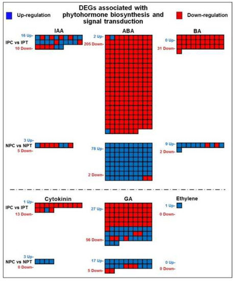 Transcriptome and Physio-Biochemical Profiling Reveals Differential ...
