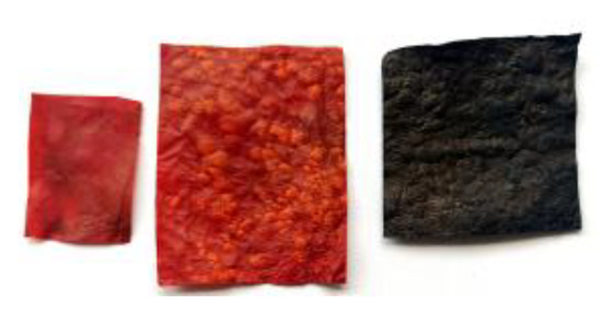 SCOBY Cellulose Modified with Apple Powder—Biomaterial with Functional ...