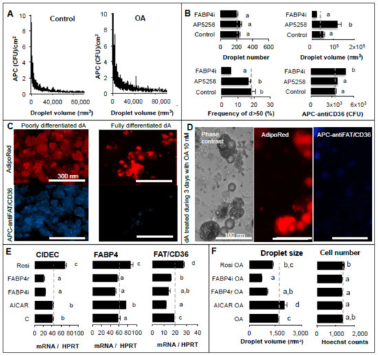 FABP4 Controls Fat Mass Expandability (Adipocyte Size and Number ...