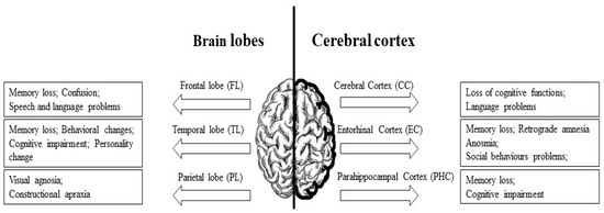 Alzheimer’s Disease—Biochemical and Psychological Background for ...