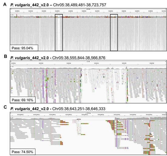 IJMS | Free Full-Text | CRISPR/Cas9-Mediated Enrichment Coupled to Nanopore Sequencing Provides ...