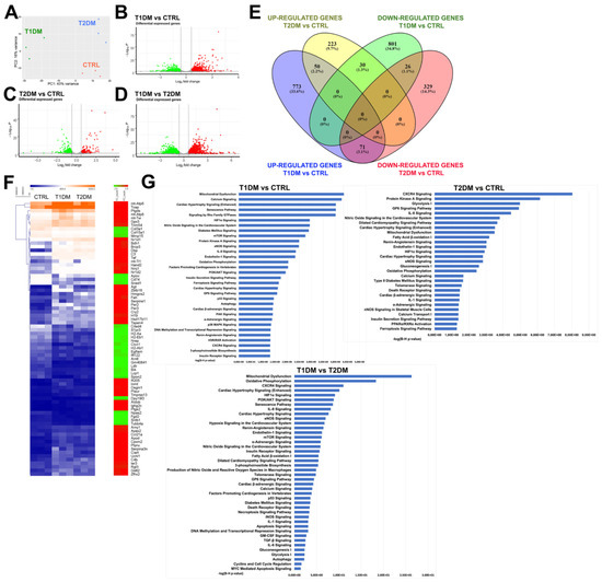 Streptozotocin-Induced Type 1 and 2 Diabetes Mellitus Mouse Models Show ...