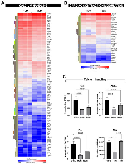 Streptozotocin-Induced Type 1 and 2 Diabetes Mellitus Mouse Models Show ...
