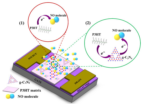 Enhanced Nitric Oxide Sensing Performance of Conjugated Polymer Films ...