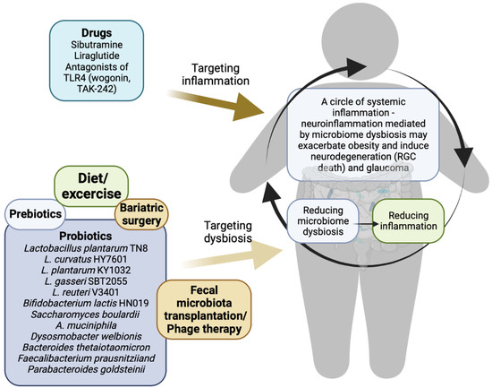Microbiome Dysbiosis: A Pathological Mechanism at the Intersection of Obesity and Glaucoma