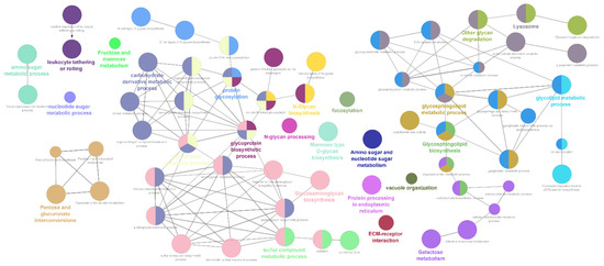 Transcriptomic Analysis of Glycosylation and Neuroregulatory Pathways ...
