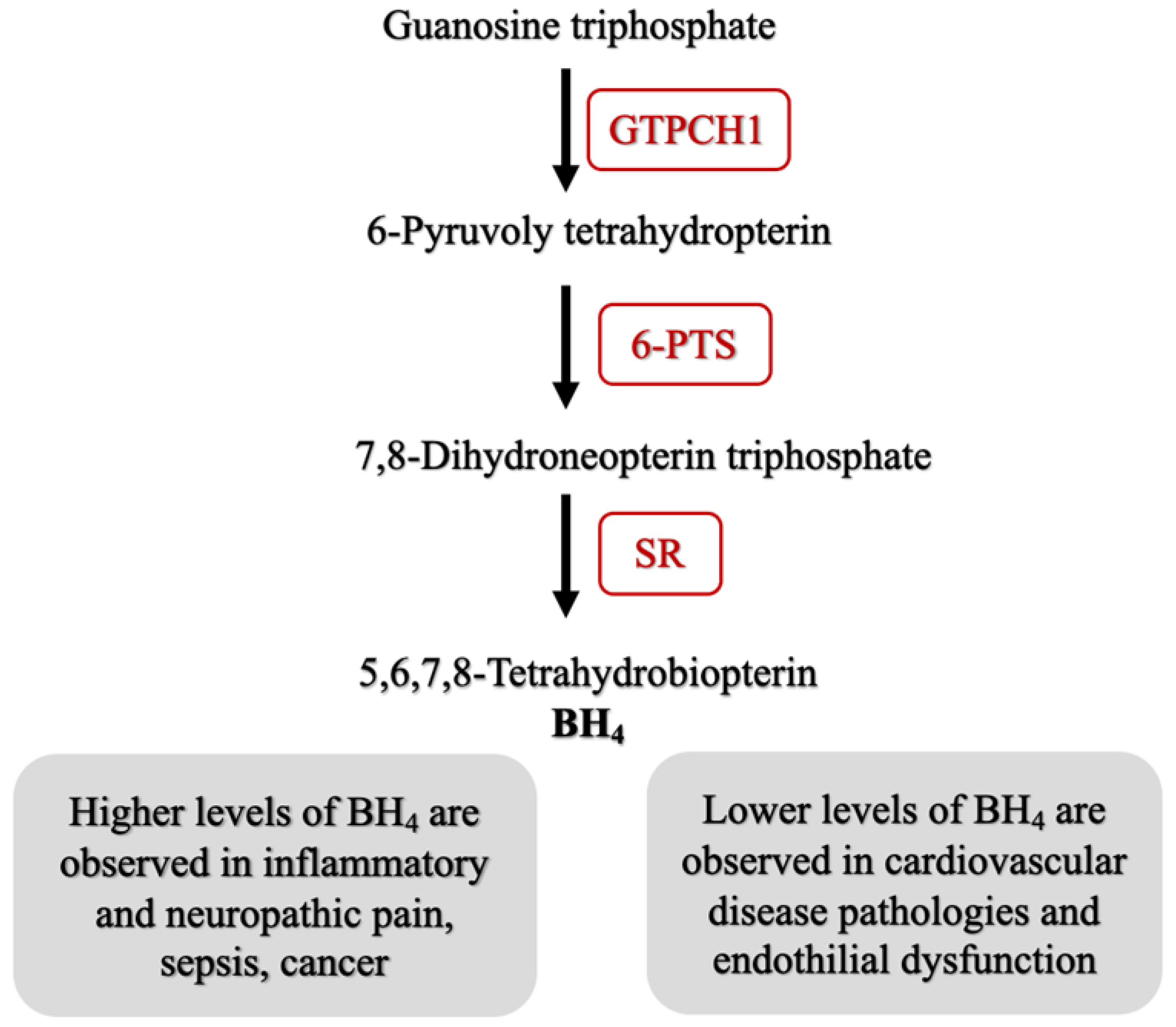 In Silico Investigation of the Human GTP Cyclohydrolase 1 Enzyme Reveals the Potential of Drug ...