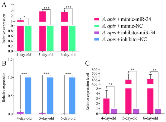 ame-miR-34 Modulates the Larval Body Weight and Immune Response of Apis ...