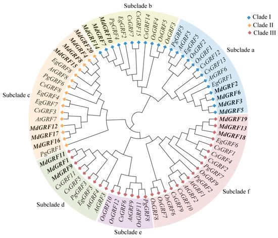 Genome-Wide Identification and Characterization of the GRF Gene Family ...