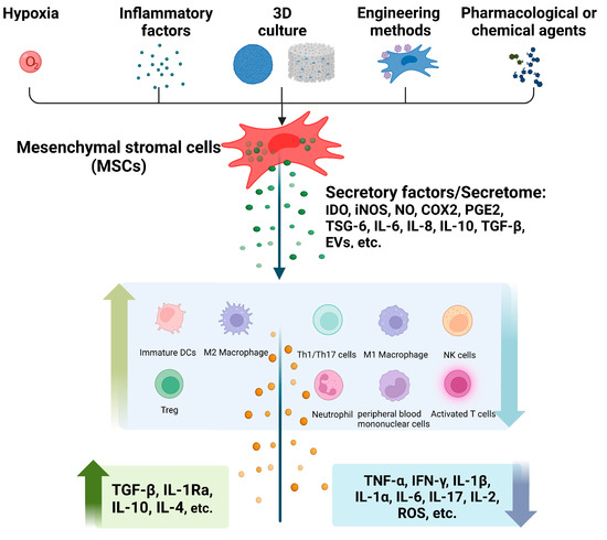 Pretreated Mesenchymal Stem Cells and Their Secretome: Enhanced Immunotherapeutic Strategies
