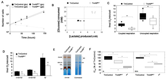 A Mutation in Mouse MT-ATP6 Gene Induces Respiration Defects and ...