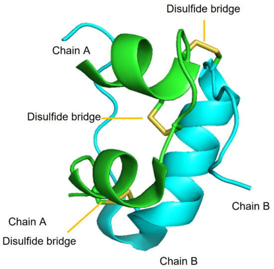 IJMS | Free Full-Text | Peptide Inhibitors of Insulin Fibrillation: Current and Future Challenges