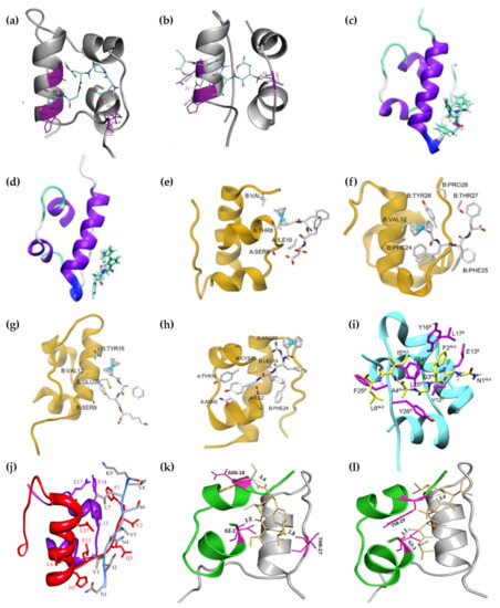 Peptide Inhibitors of Insulin Fibrillation: Current and Future Challenges