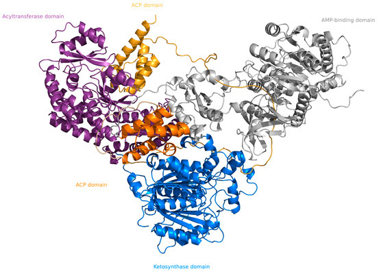 Domain Truncation in Hispidin Synthase Orthologs from Non ...