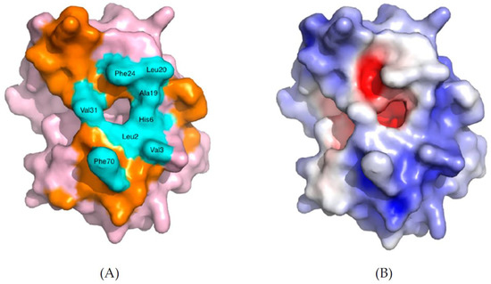 IJMS | Free Full-Text | The Phospholipase A2 Superfamily: Structure, Isozymes, Catalysis ...
