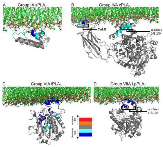 IJMS | Free Full-Text | The Phospholipase A2 Superfamily: Structure, Isozymes, Catalysis ...