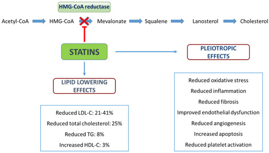 Statins in Children, an Update