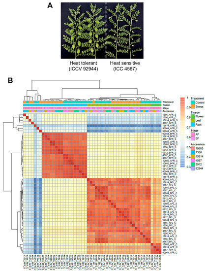 IJMS | Free Full-Text | Comprehensive Transcriptome Profiling Uncovers Molecular Mechanisms and ...