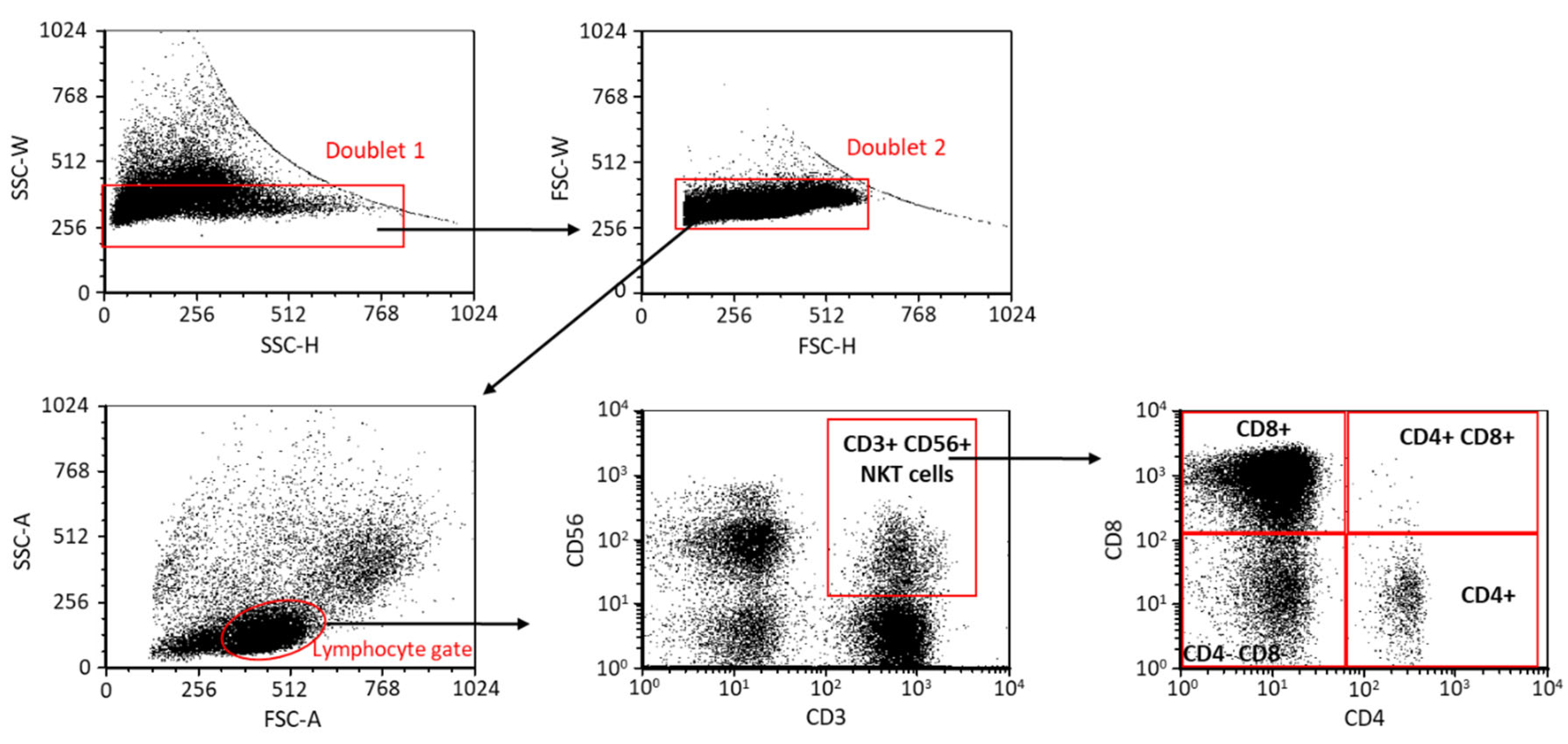 Ijms Free Full Text Cd8 And Cd4 Positive Nkt Subpopulations And
