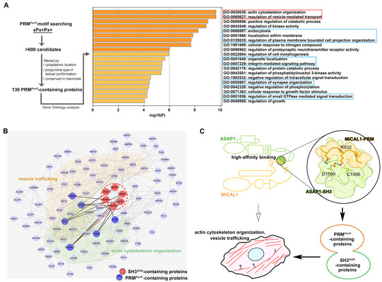 Crystal Structure of the SH3 Domain of ASAP1 in Complex with the ...