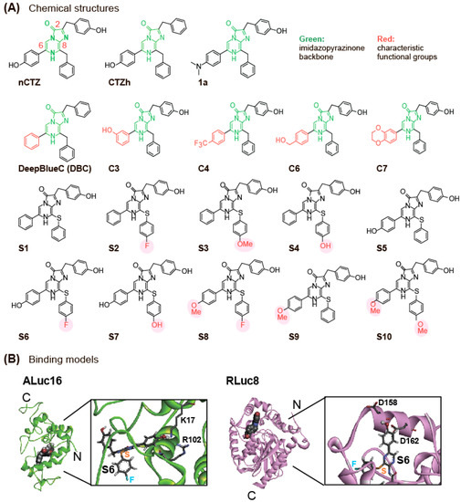 IJMS | Free Full-Text | S-Series Coelenterazine-Driven Combinatorial ...