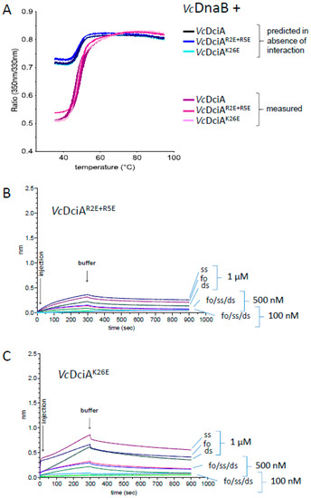 Structural Insights of the DciA Helicase Loader in Its Relationship ...