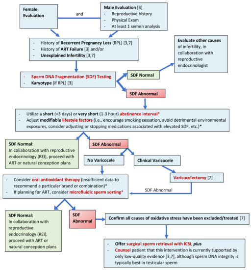 IJMS | Free Full-Text | Sperm DNA Damage and Its Relevance in Fertility ...